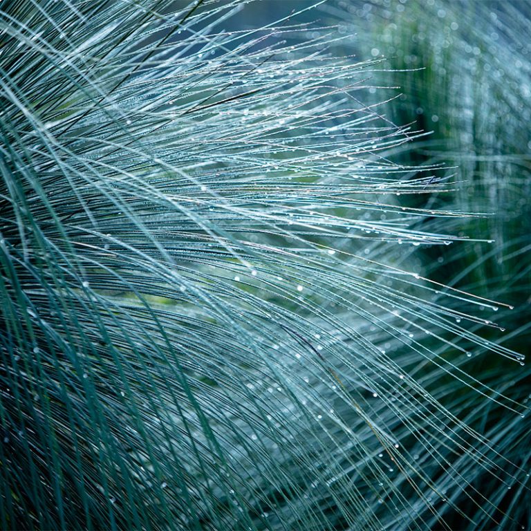 Northbridge - Spirit Level