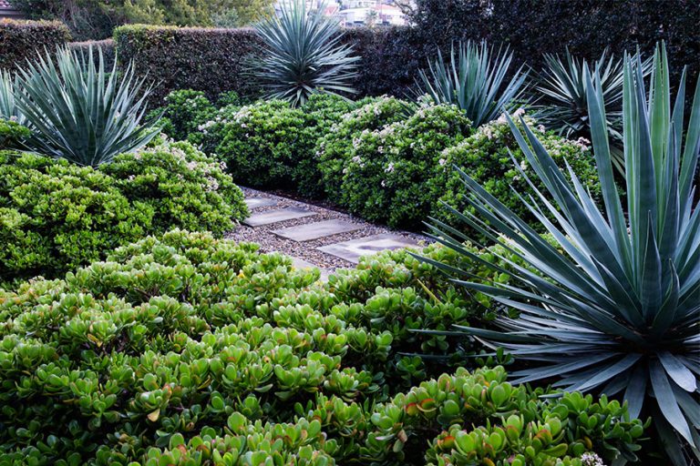 Gardens Archives - Page 2 of 2 - Spirit Level