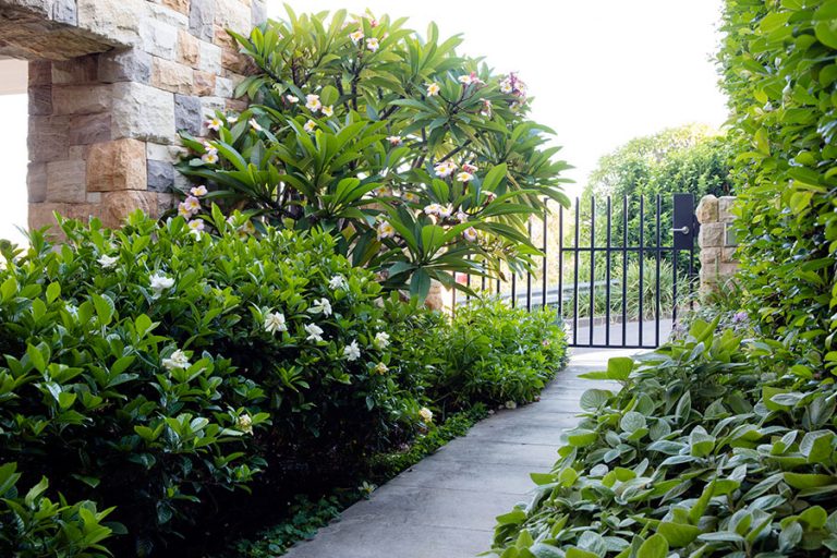 Gardens Archives - Spirit Level