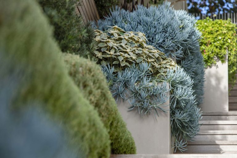 Gardens Archives - Spirit Level